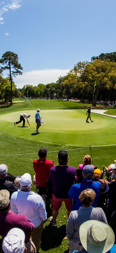 Things to Do: Hilton Head Island Events | Hilton Head Island