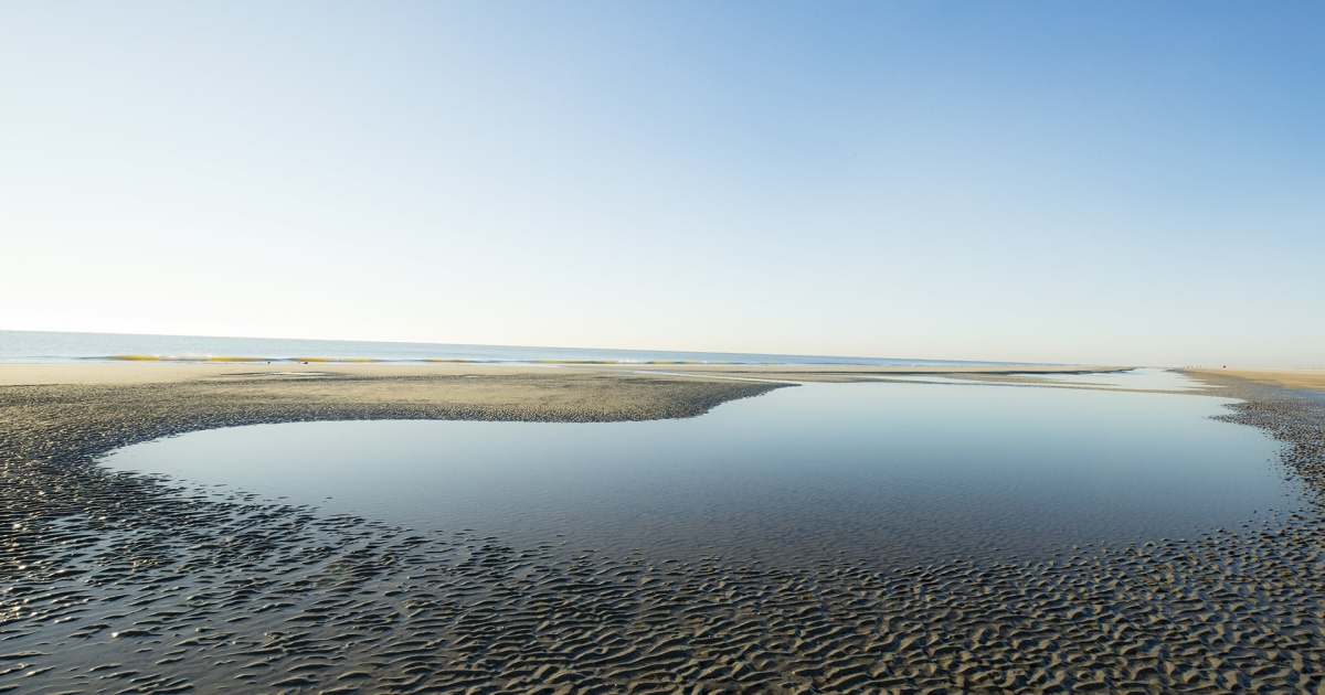 Promise | Hilton Head Island